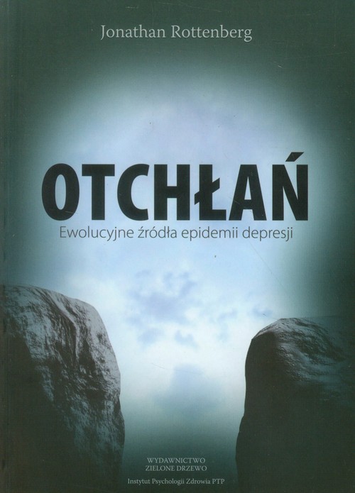 Otchłań - Rottenberg Jonathan | Multiszop.pl