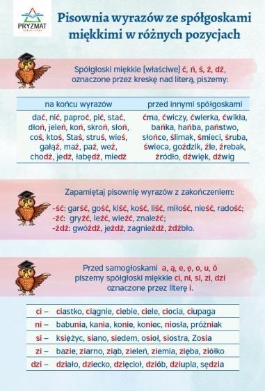 Plansza ortograficzna ""Pisownia wyrazów | Multiszop.pl