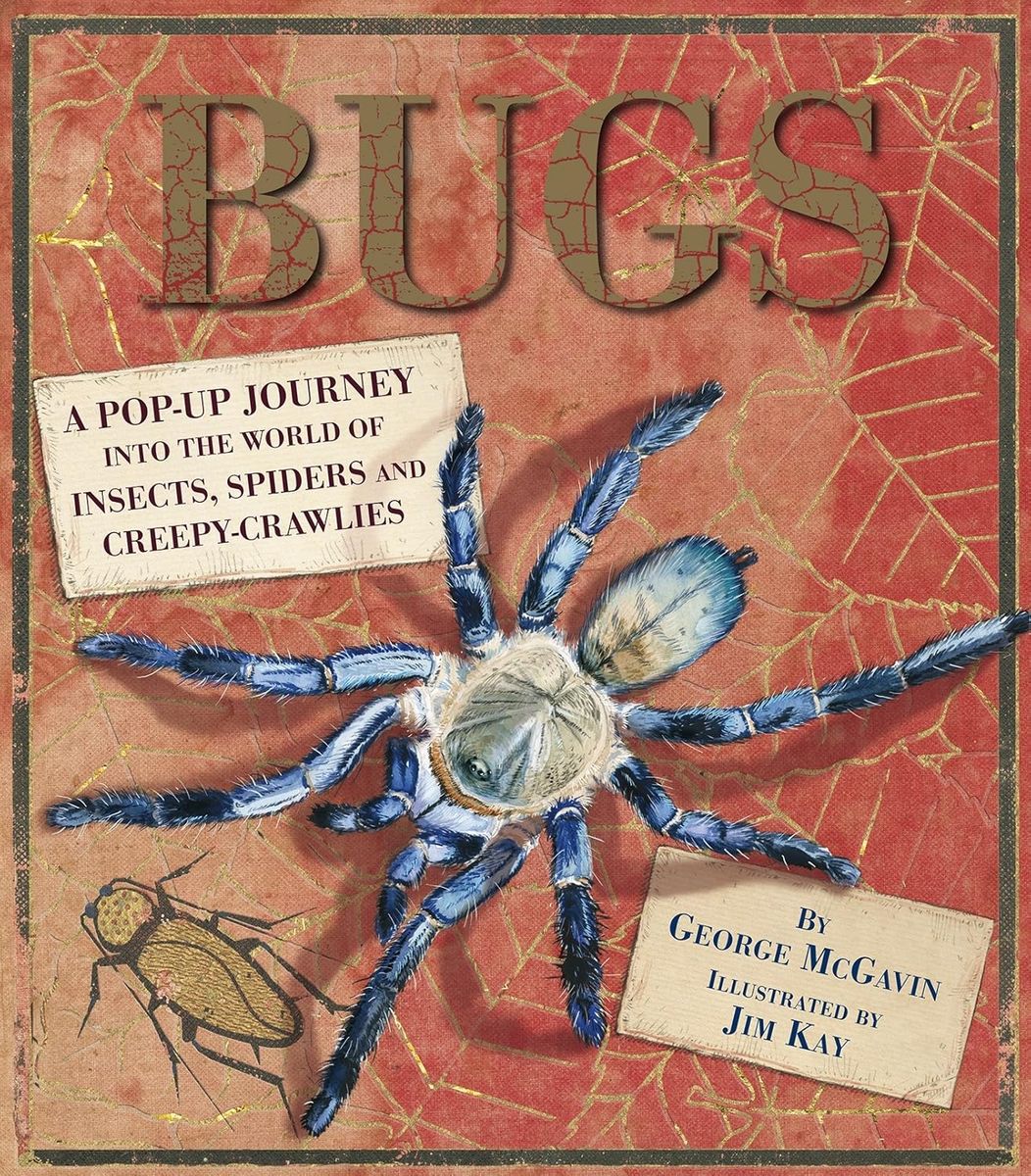 Bugs A Pop-up Journey into the World of Insects, Spiders and Creepy ...